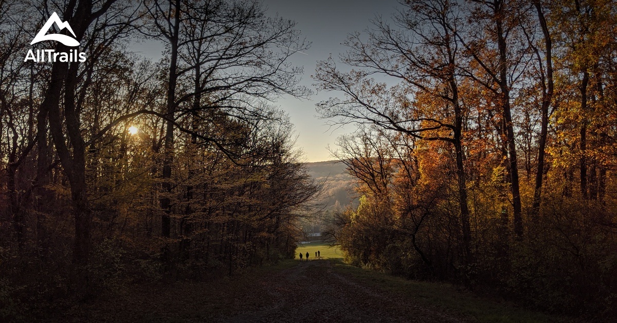 Venusberg - hikes and trails to get you there | AllTrails