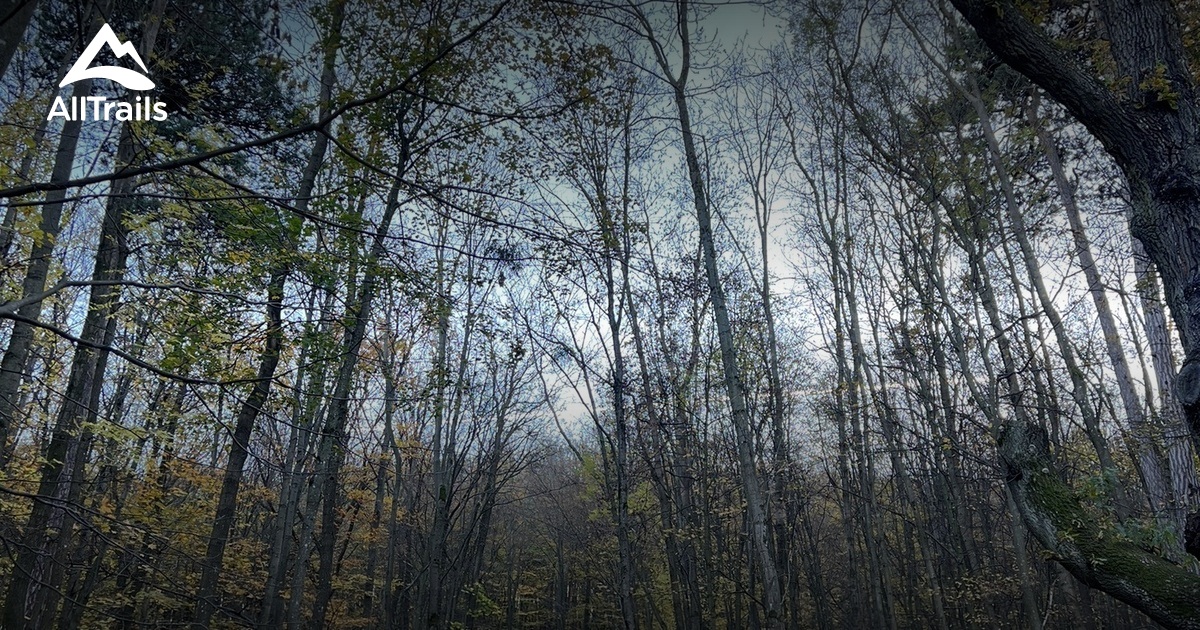 Schafberg - hikes and trails to get you there | AllTrails