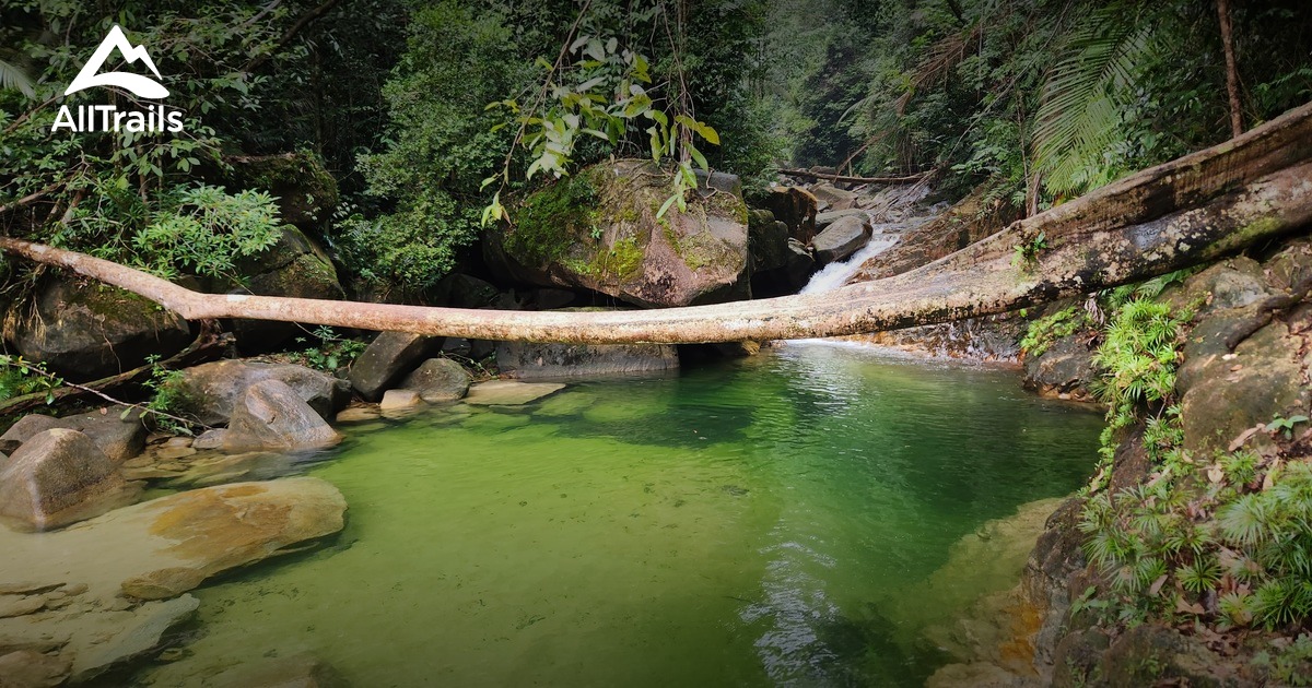 Gunung Sarut - hikes and trails to get you there | AllTrails