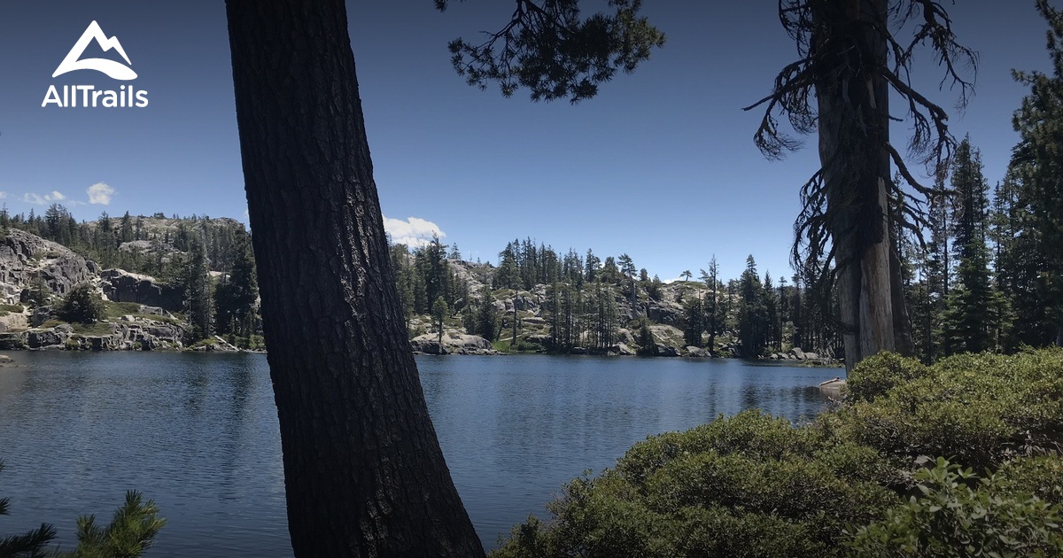 Cherry Point - hikes and trails to get you there | AllTrails