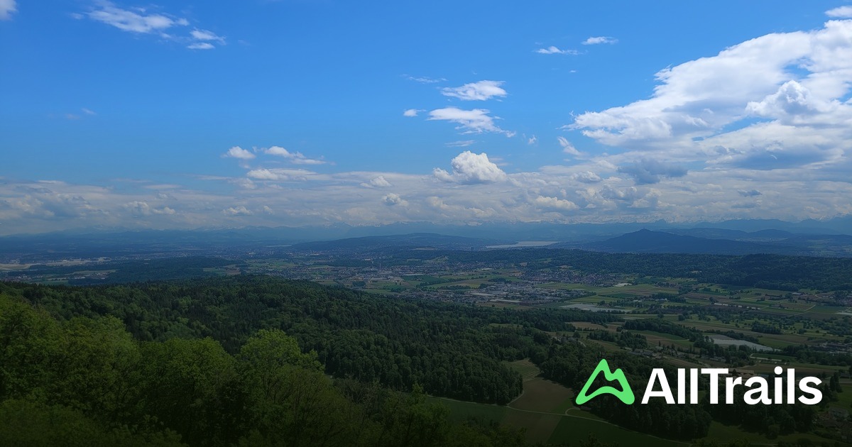 Best trails near Wasserturm Baldegg | AllTrails