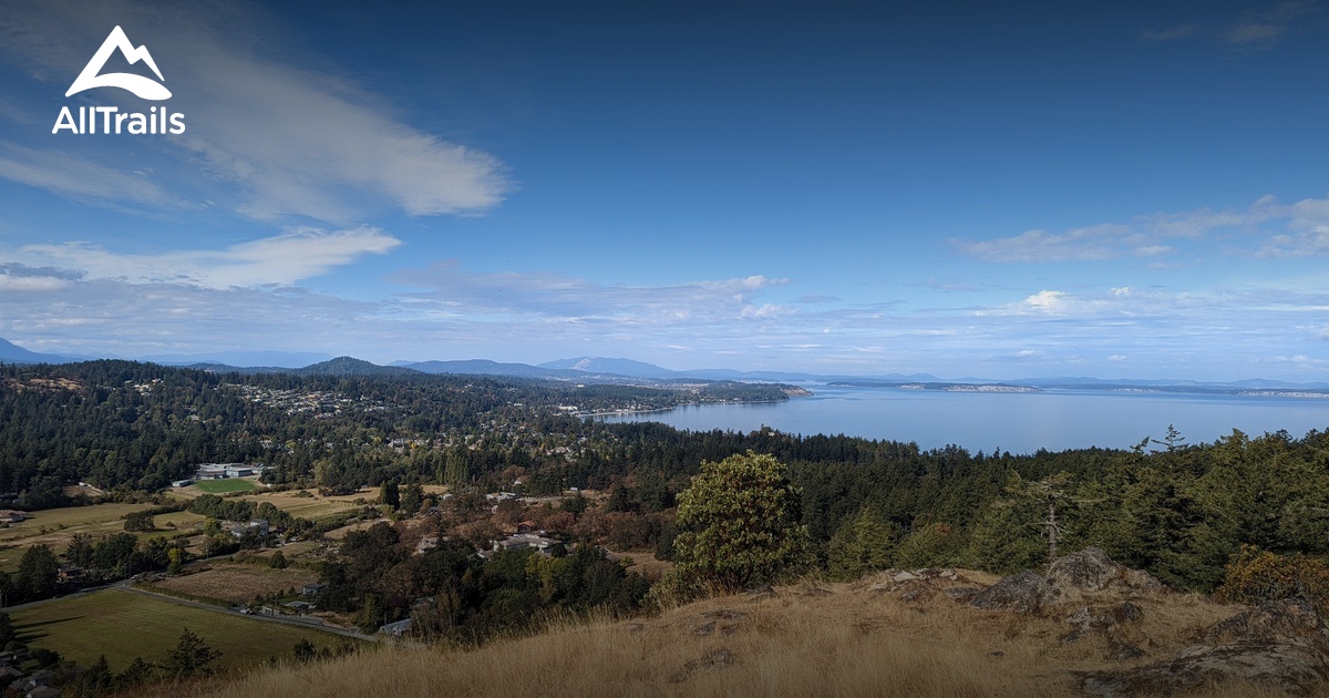 Mount Douglas - hikes and trails to get you there | AllTrails