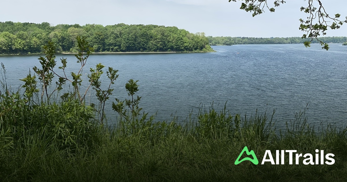 Fanshawe Lake - hikes and trails to get you there | AllTrails