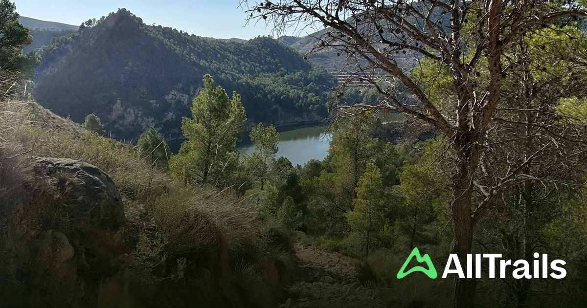 Best trails near Embalse de Tibi | AllTrails