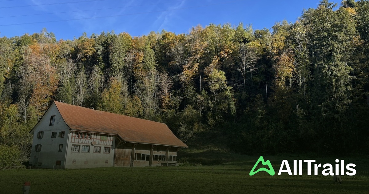 Die 10 Besten Routen in der Nähe von Sihl | AllTrails