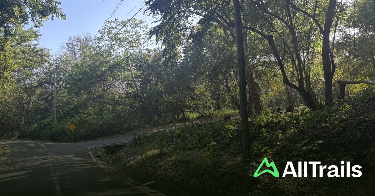 Playa Cacique - hikes and trails to get you there | AllTrails