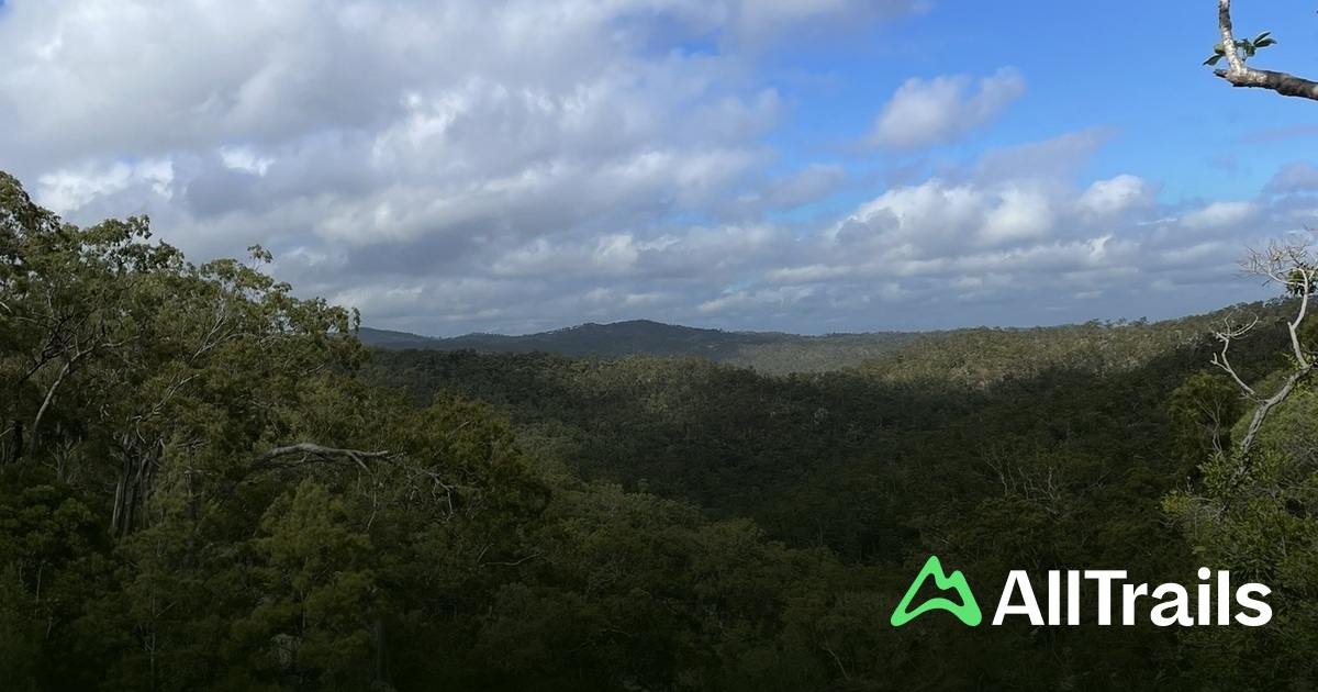 Sandy Falls - hikes and trails to get you there | AllTrails