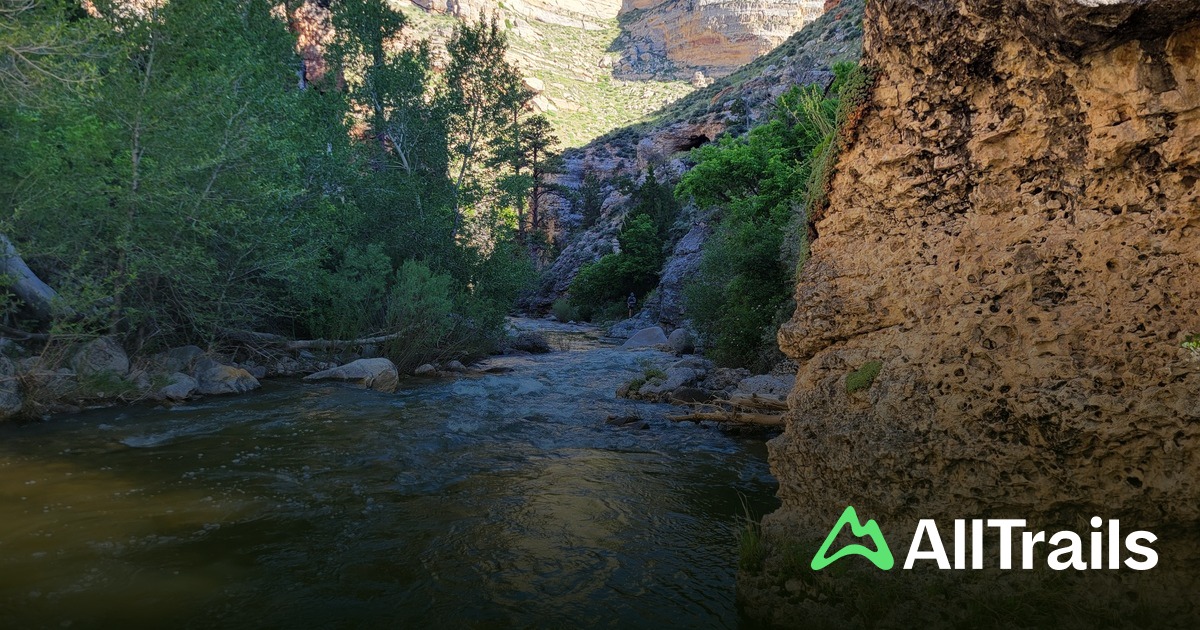 Outlaw Cave Campground - hikes and trails to get you there | AllTrails