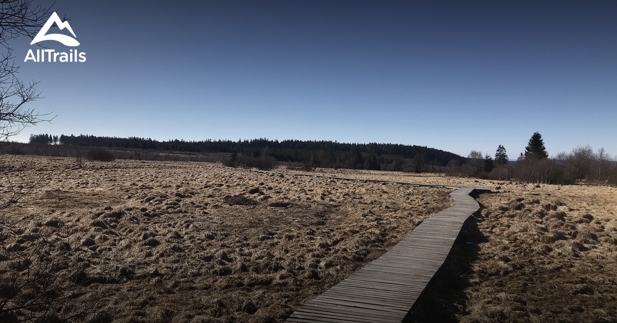 Signal de Botrange - hikes and trails to get you there | AllTrails