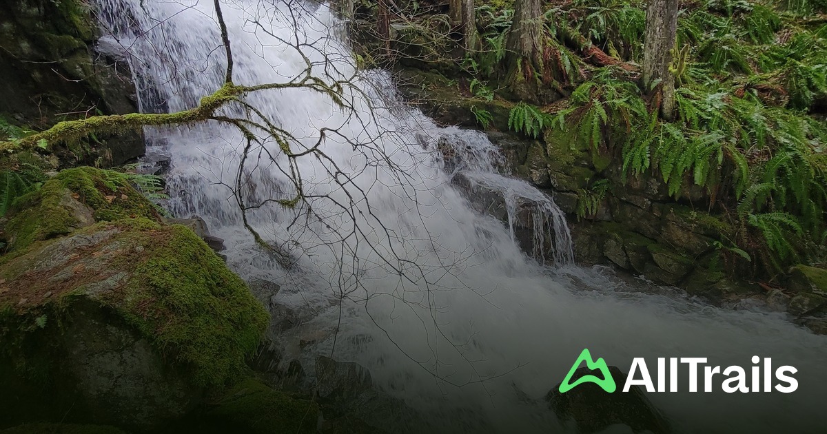 Best trails near Mike Falls | AllTrails