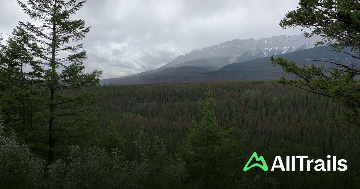 Snake Indian Falls - hikes and trails to get you there | AllTrails
