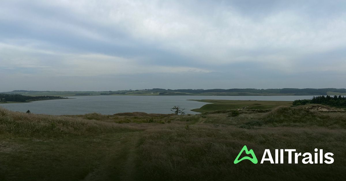 Isbjerg: Die besten Routen in der Umgebung | AllTrails