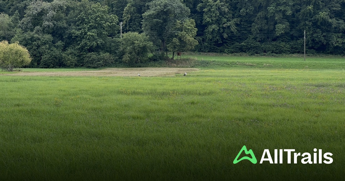 Hohen Gemingen - hikes and trails to get you there | AllTrails