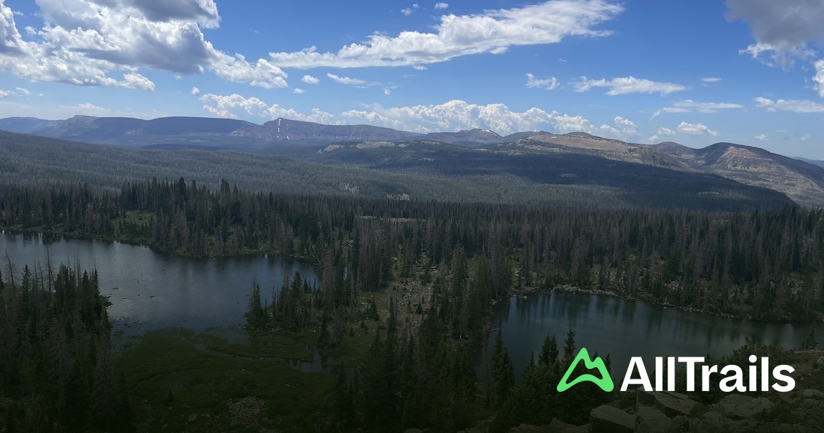 Jordan Lake - hikes and trails to get you there | AllTrails
