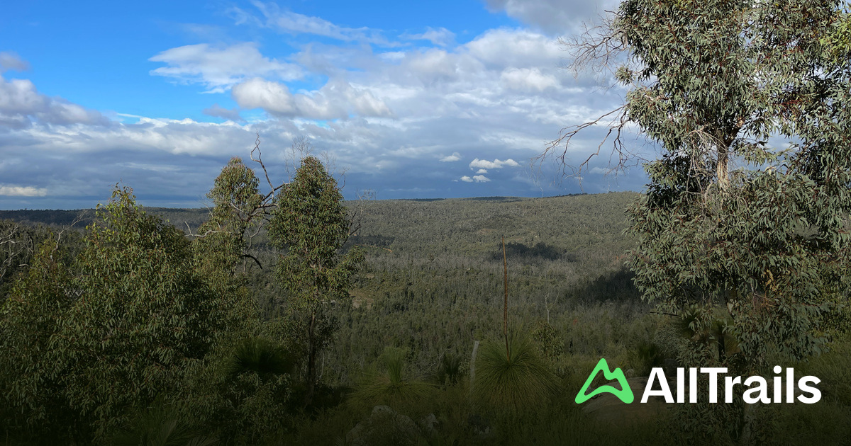 Helena Campsite - hikes and trails to get you there | AllTrails