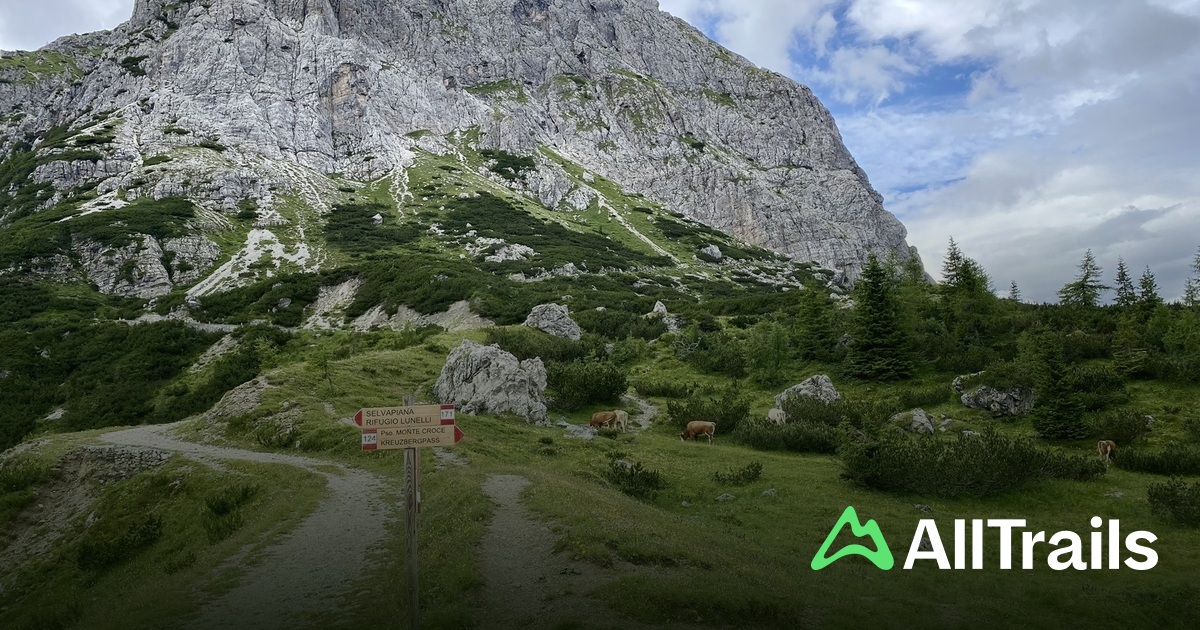 Arzalpenkopf - Croda Sora i Colesei - hikes and trails to get you there ...