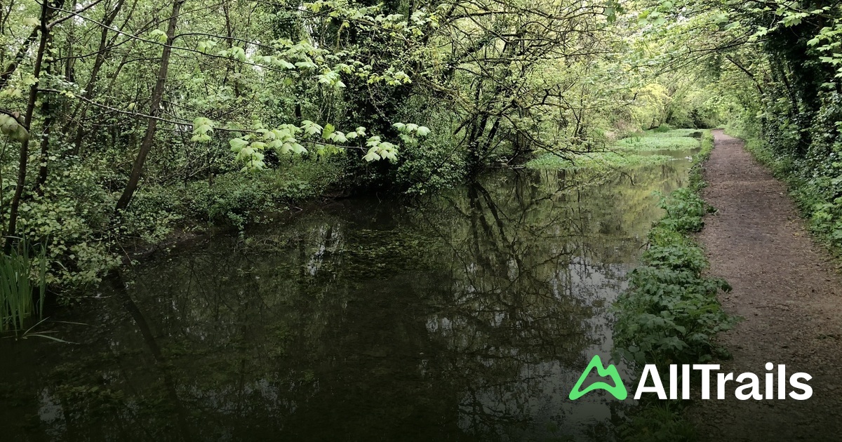 Minety Lake - hikes and trails to get you there | AllTrails