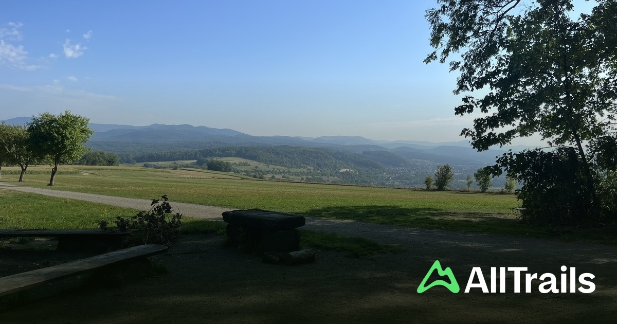 Wolfsschlucht: Die besten Routen in der Umgebung | AllTrails
