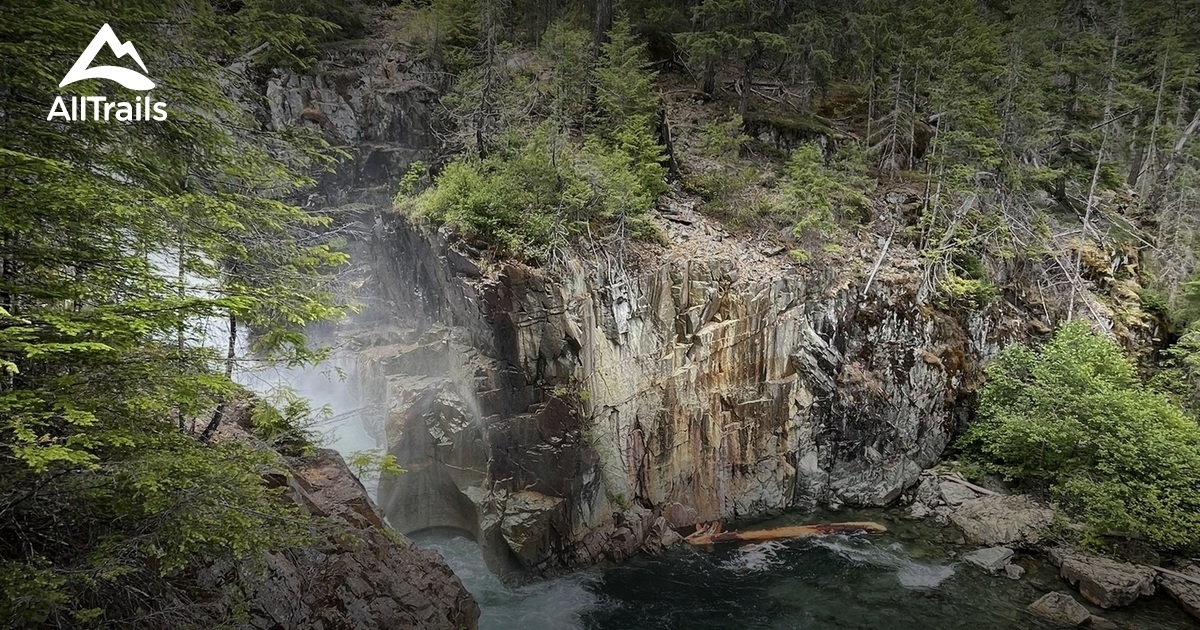 Lower Myra Falls : les meilleures randonnées à proximité | AllTrails