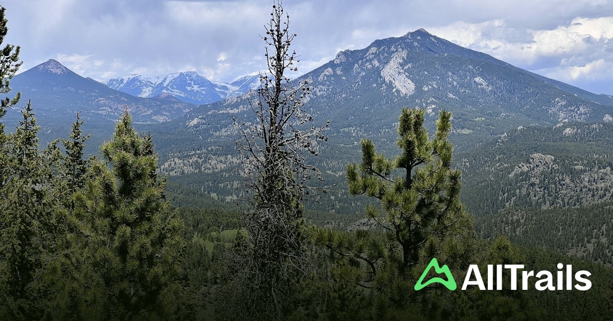 Taylor Mountain - hikes and trails to get you there | AllTrails