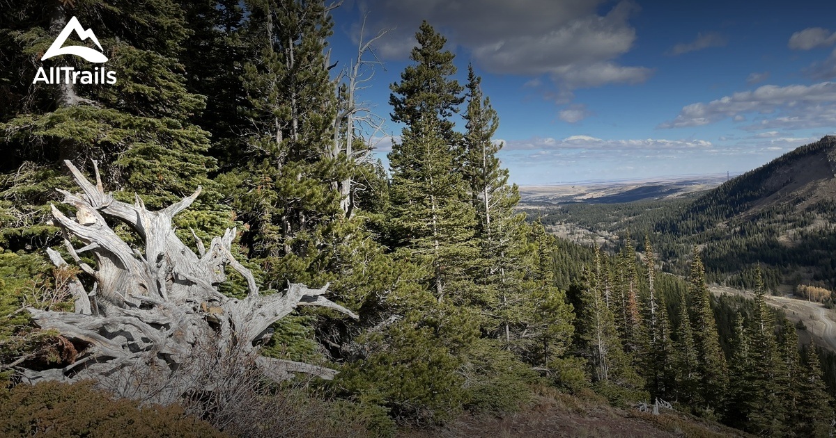 Victoria Ridge - hikes and trails to get you there | AllTrails