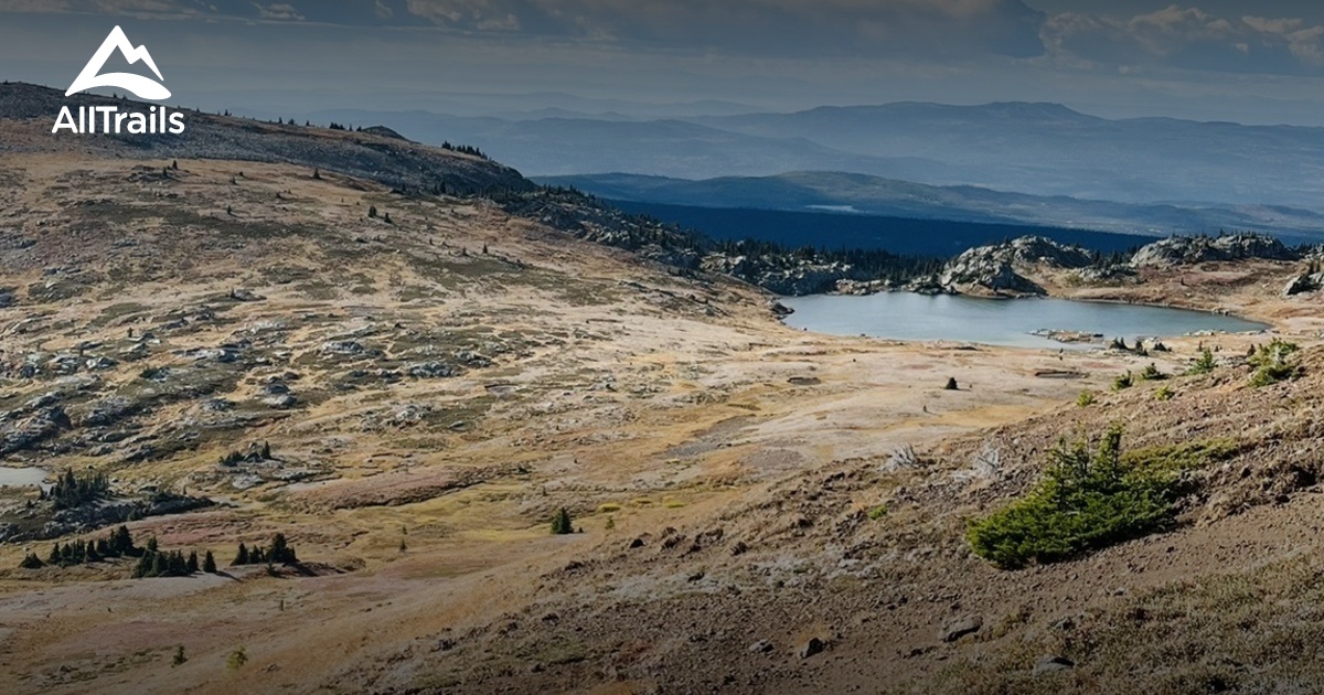 Big Timothy Mountain - hikes and trails to get you there | AllTrails