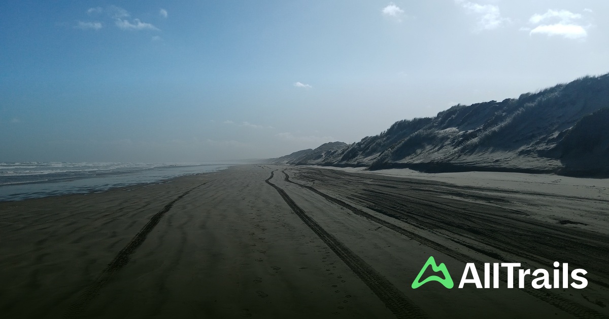 Wairoa Stream : les meilleures randonnées | AllTrails