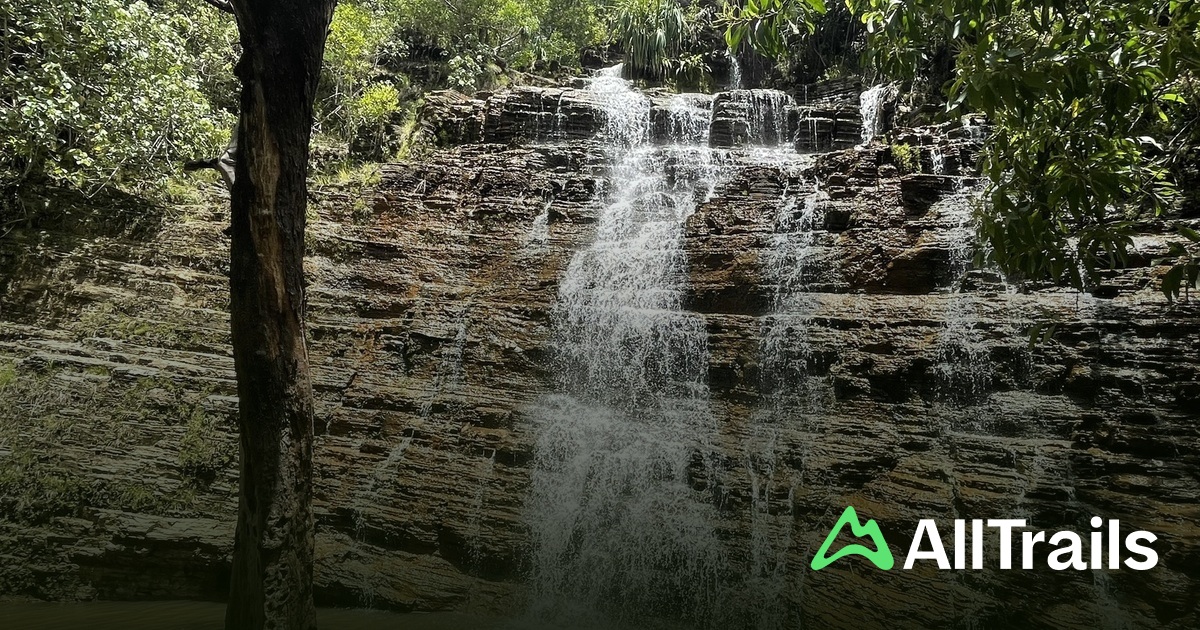 Tarzan Falls - hikes and trails to get you there | AllTrails