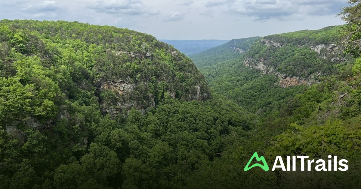 Cherokee Falls - hikes and trails to get you there | AllTrails