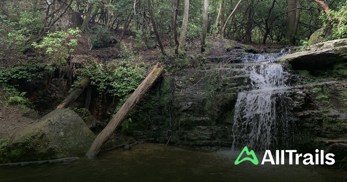 Cascade Falls - hikes and trails to get you there | AllTrails