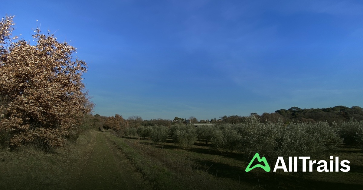 Serre des Cardayres – najlepsze szlaki w pobliżu | AllTrails