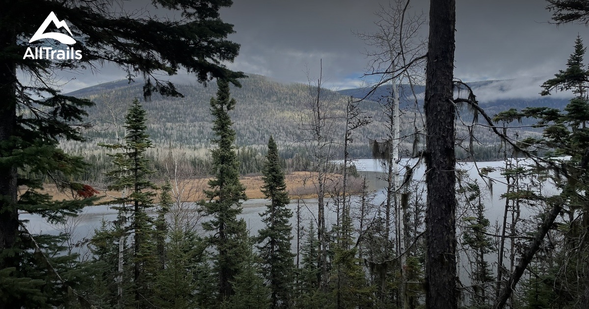 Morfee Falls - hikes and trails to get you there | AllTrails