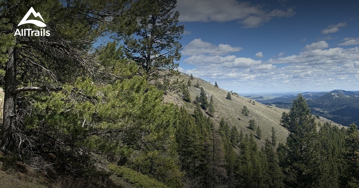 Mount Backus - hikes and trails to get you there | AllTrails