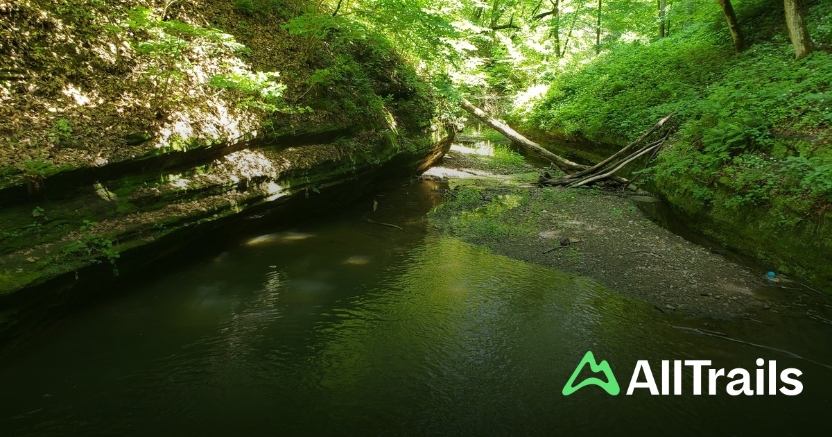 Wildcat Canyon Waterfall - hikes and trails to get you there | AllTrails