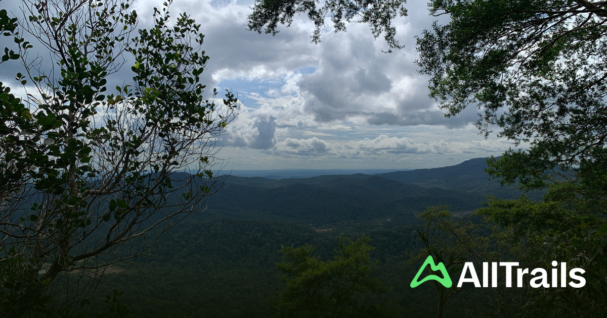 Puncak Gaung - hikes and trails to get you there | AllTrails