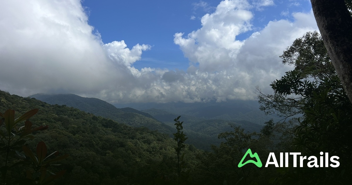 Gunung Ulu Sepat - hikes and trails to get you there | AllTrails