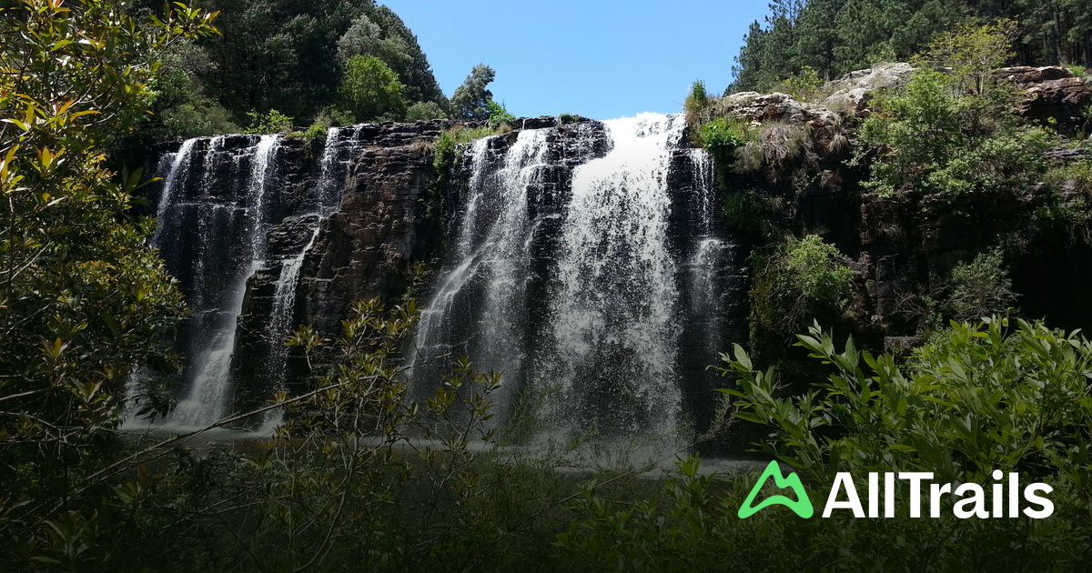 Forest Falls - hikes and trails to get you there | AllTrails
