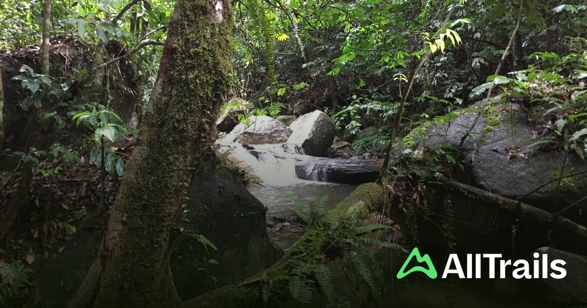 Gunung Berembun - hikes and trails to get you there | AllTrails