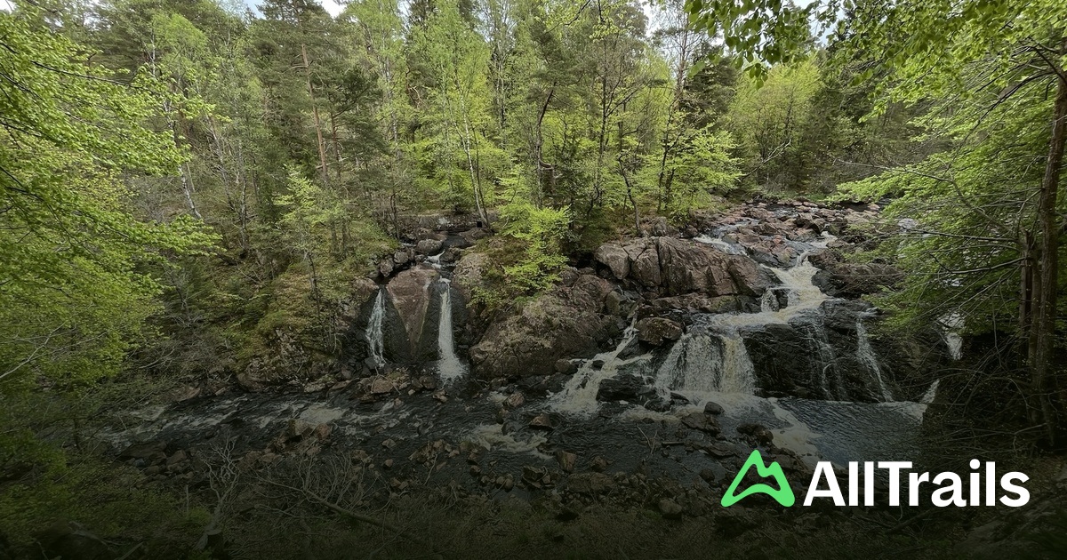 Danska Fallet - hikes and trails to get you there | AllTrails
