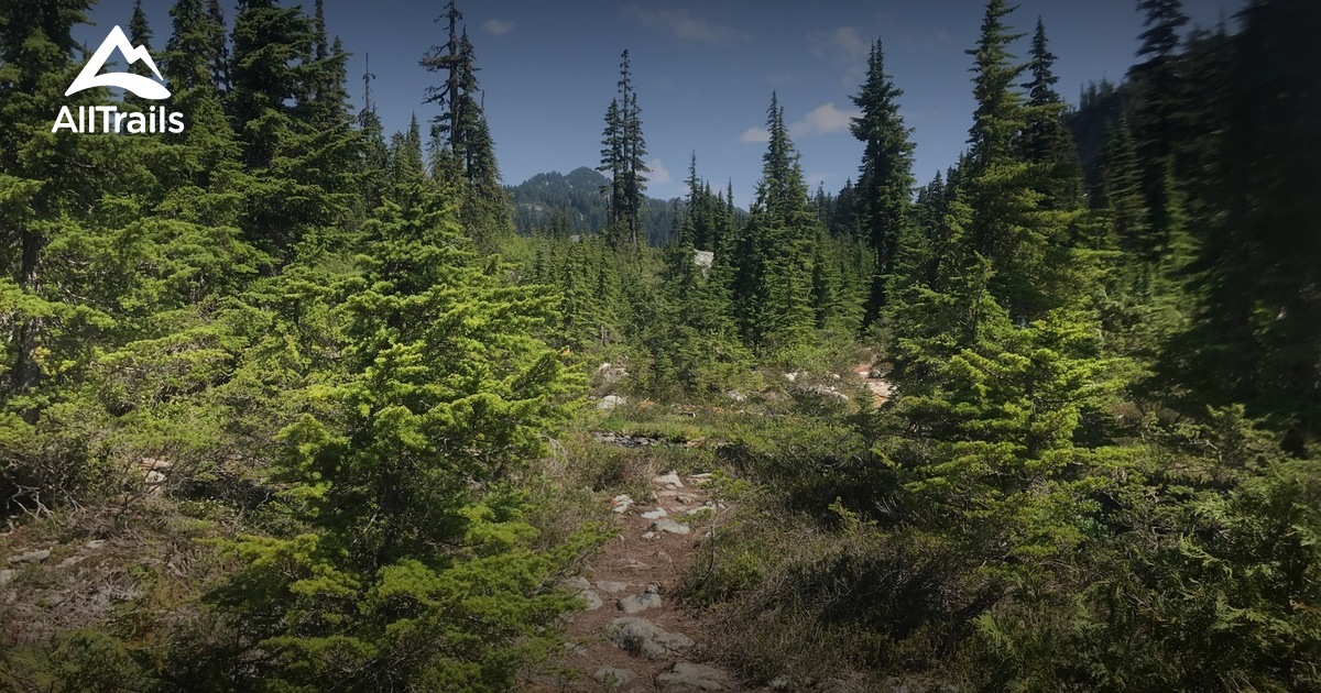 Mount Brew - hikes and trails to get you there | AllTrails