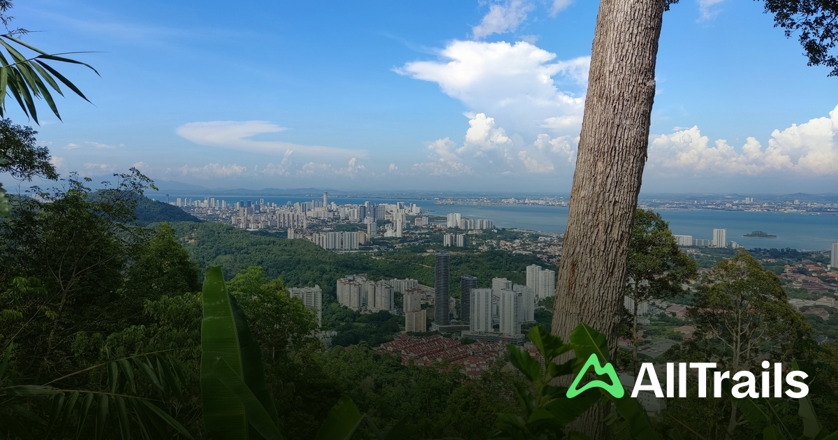 Bukit Kukus (Peak) - hikes and trails to get you there | AllTrails