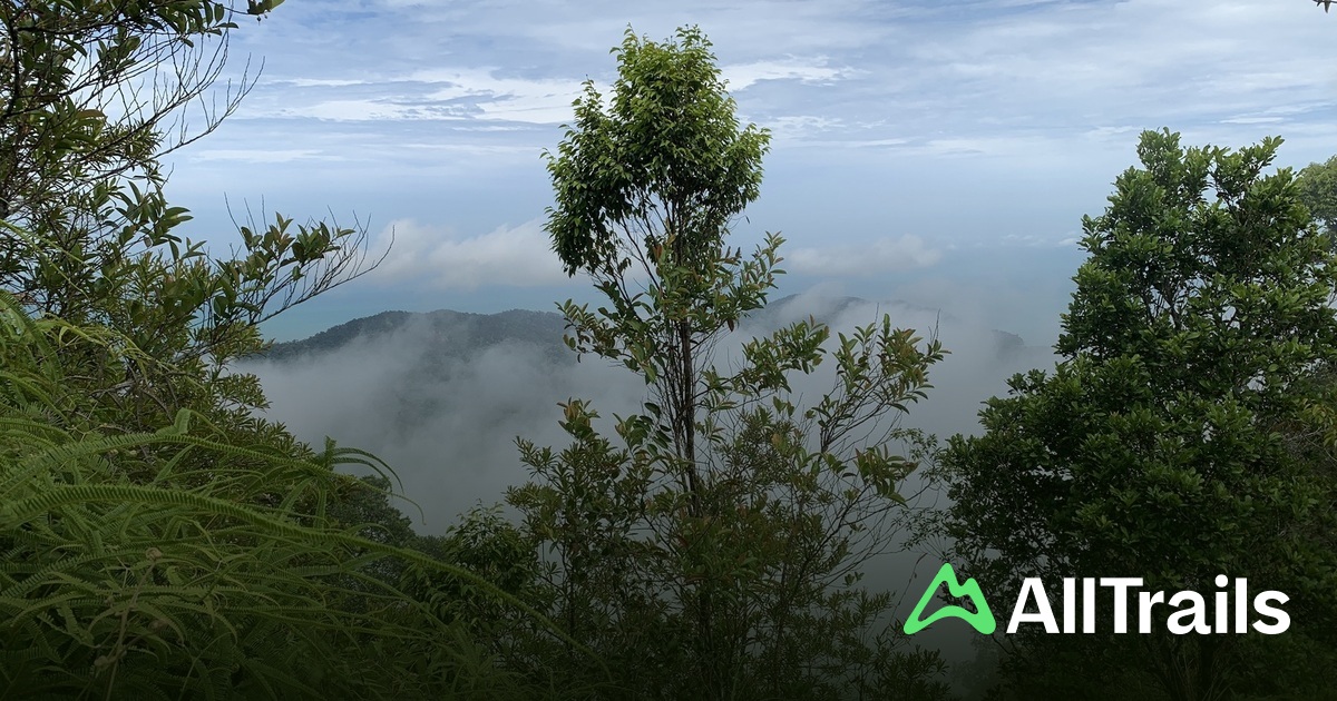 Batu Ferringhi Waterfalls - hikes and trails to get you there | AllTrails