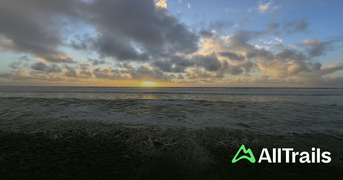 Leucadia State Beach - hikes and trails to get you there | AllTrails