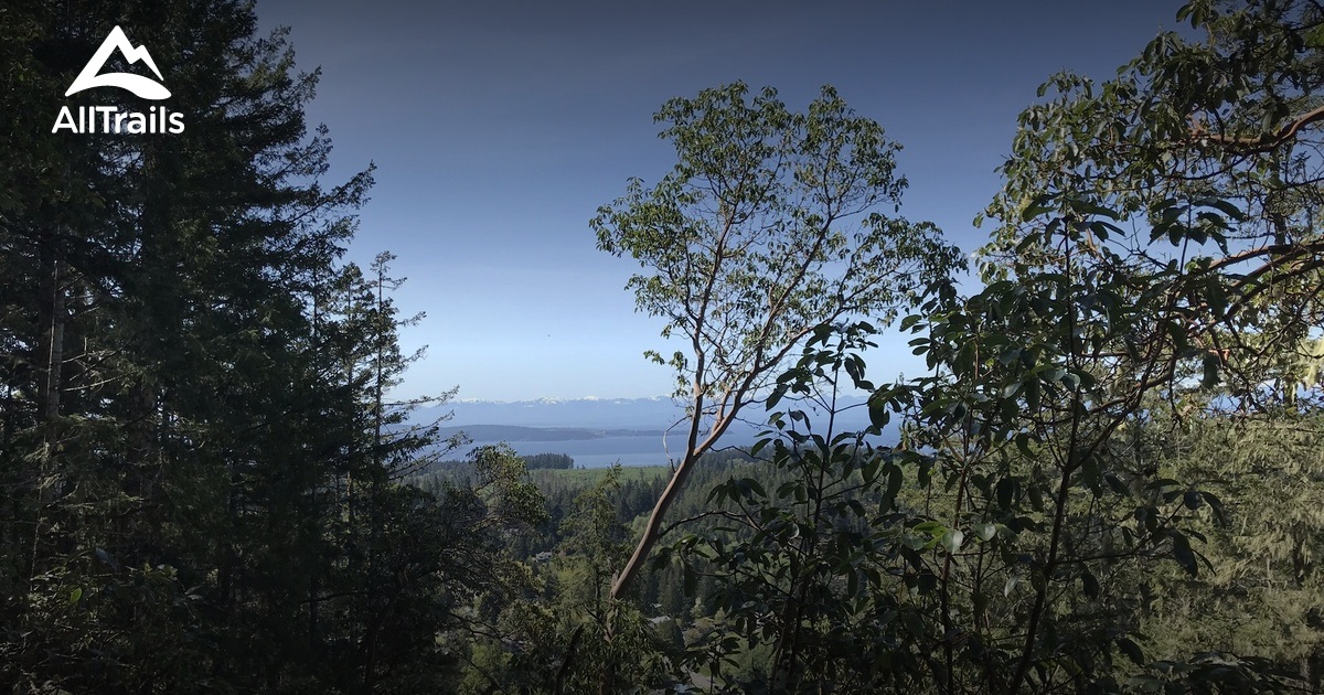 Gallagher Hill - hikes and trails to get you there | AllTrails