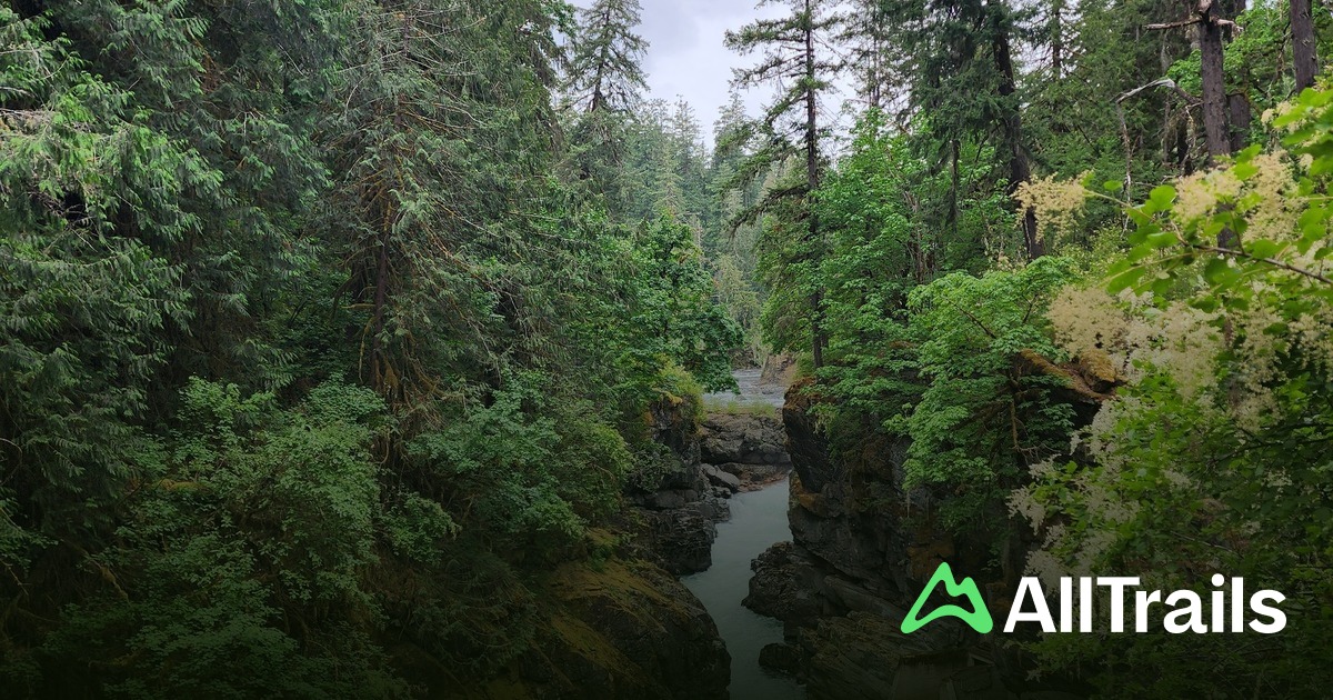 Stamp River Campground - hikes and trails to get you there | AllTrails