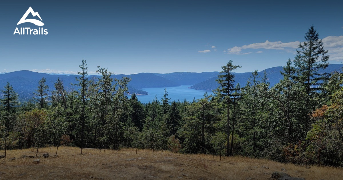 Mount Newton - hikes and trails to get you there | AllTrails