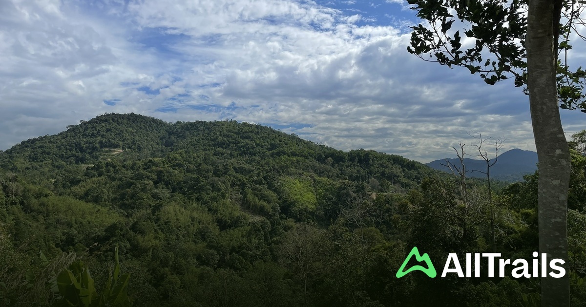 Bukit Sri Permata - hikes and trails to get you there | AllTrails