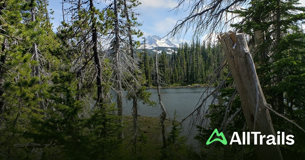 Gibson Lake: Die besten Routen in der Umgebung | AllTrails