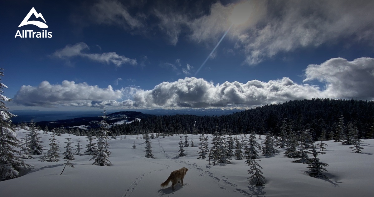 Best trails near Mount Menzies | AllTrails