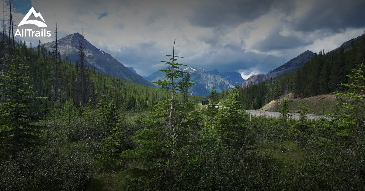 Mount Whymper - hikes and trails to get you there | AllTrails